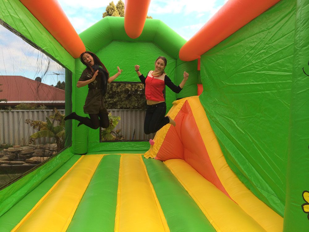 Butterfly-Slide-06 | The Fun Depot® : Your Trusted Experts for Fun and ...