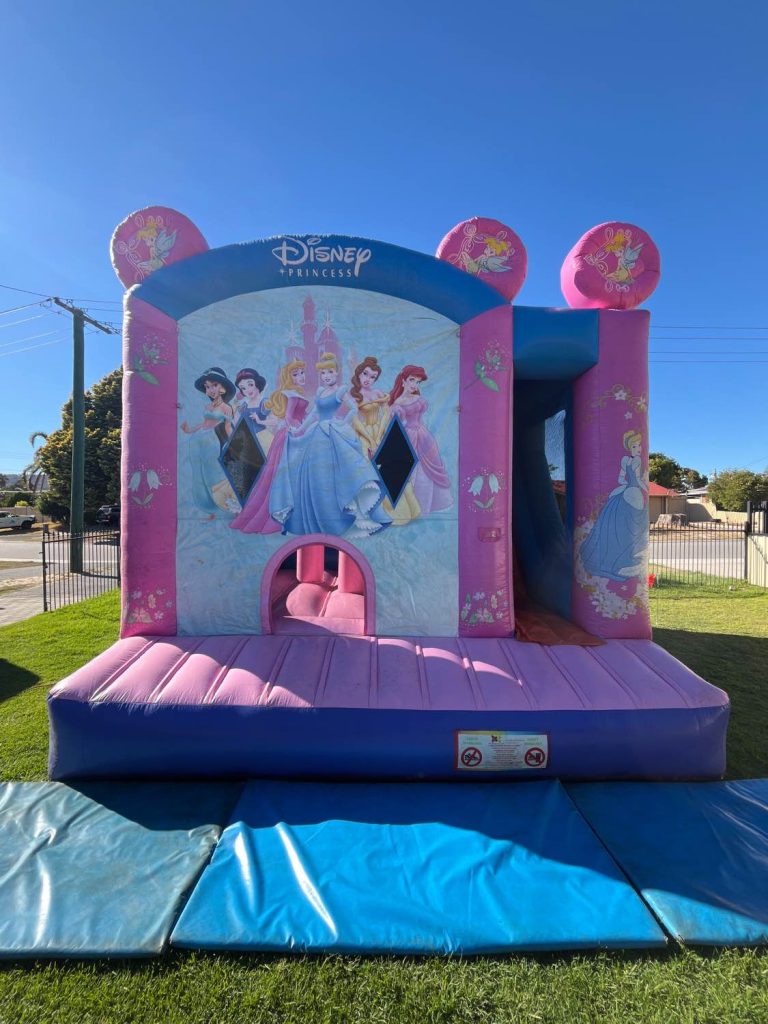 Princess Slide | Perth Bouncy Castle Hire: Your Trusted Experts for Fun ...