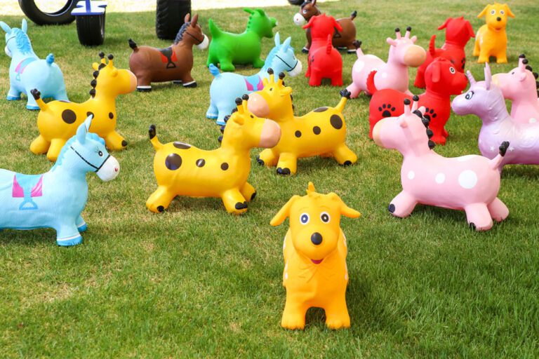 Animal Hoppers | The Fun Depot® : Your Trusted Experts for Fun and ...