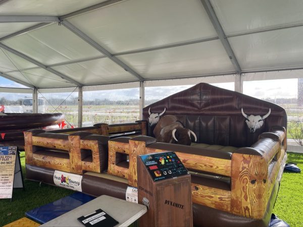 Bucking Bull Hire Perth | Mechanical Bull Rental