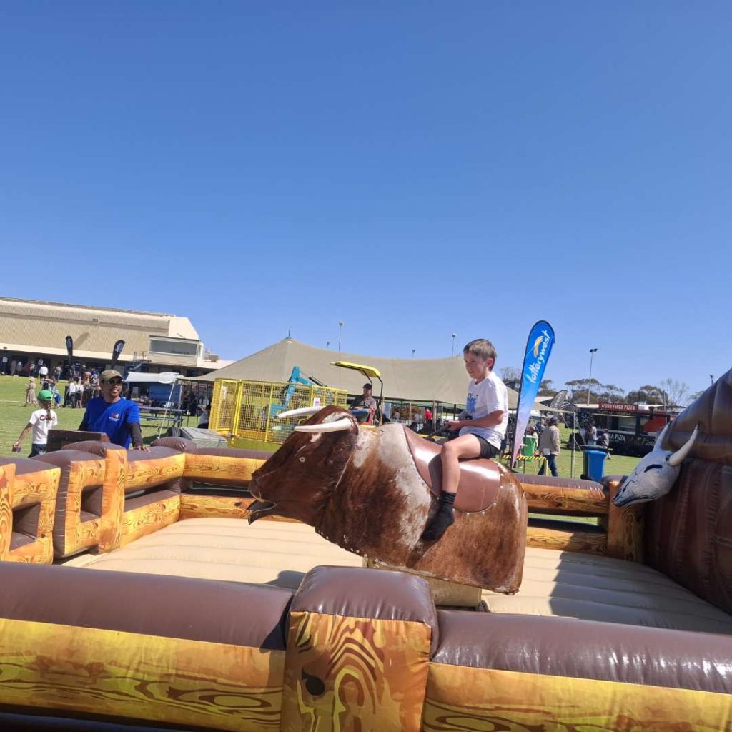 Bucking Bull Hire Perth | Mechanical Bull Rental